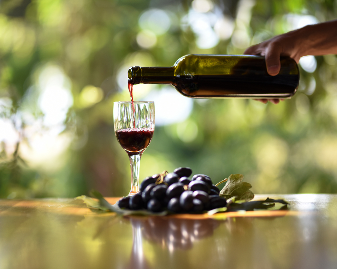 Qu'est-ce qu'un vin bio